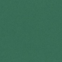 Daler Rowney A1 Canford Card Emerald 300gsm