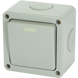 Selectric 1 Gang 2 Way Heavy Duty Light Switch X-Rated 10A